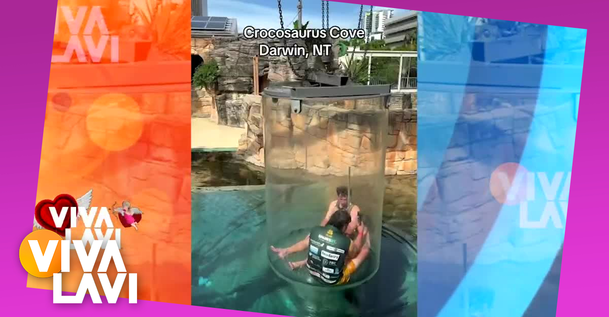 Hombre arriesga su vida al nadar con cocodrilos