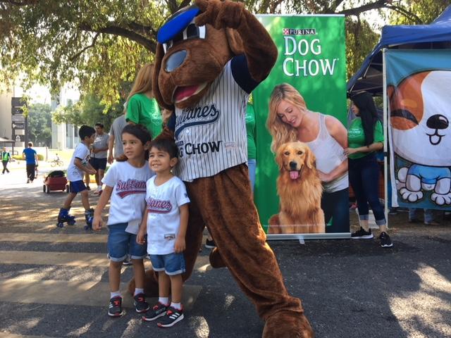 Conviven con el Perro Sultán