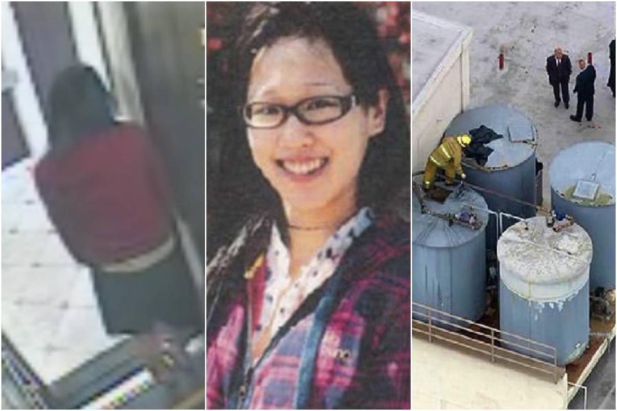 Llega a streaming el terrorífico caso de Elisa Lam y su desaparición en ...