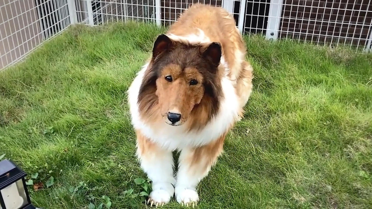 Conoce al japonés que gastó 15,000 dólares para transformarse en un ...