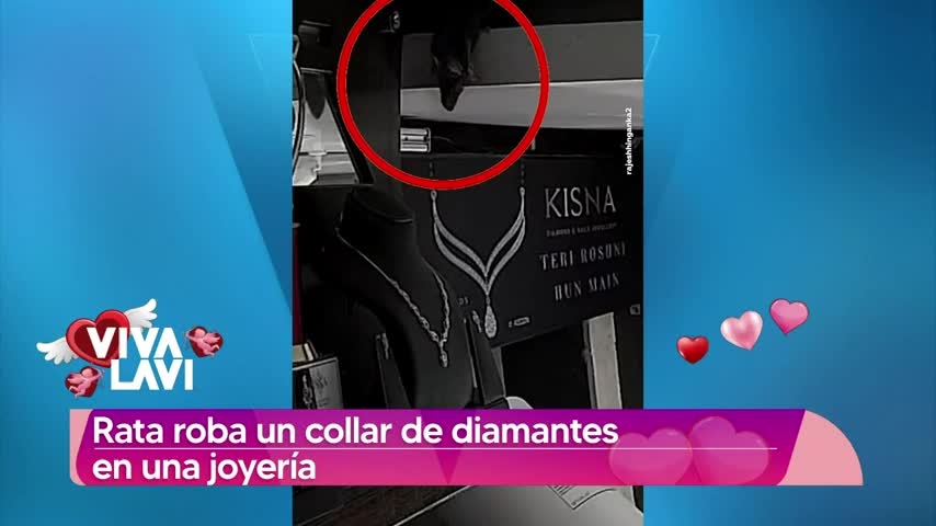 VIDEO: Rata roba lujoso collar en joyería